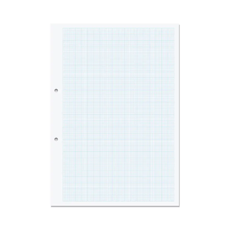 RHINO A4 Punched Graph Paper 1000 Pages - 500 Leaf 2:10:20 Graph Ruling ...